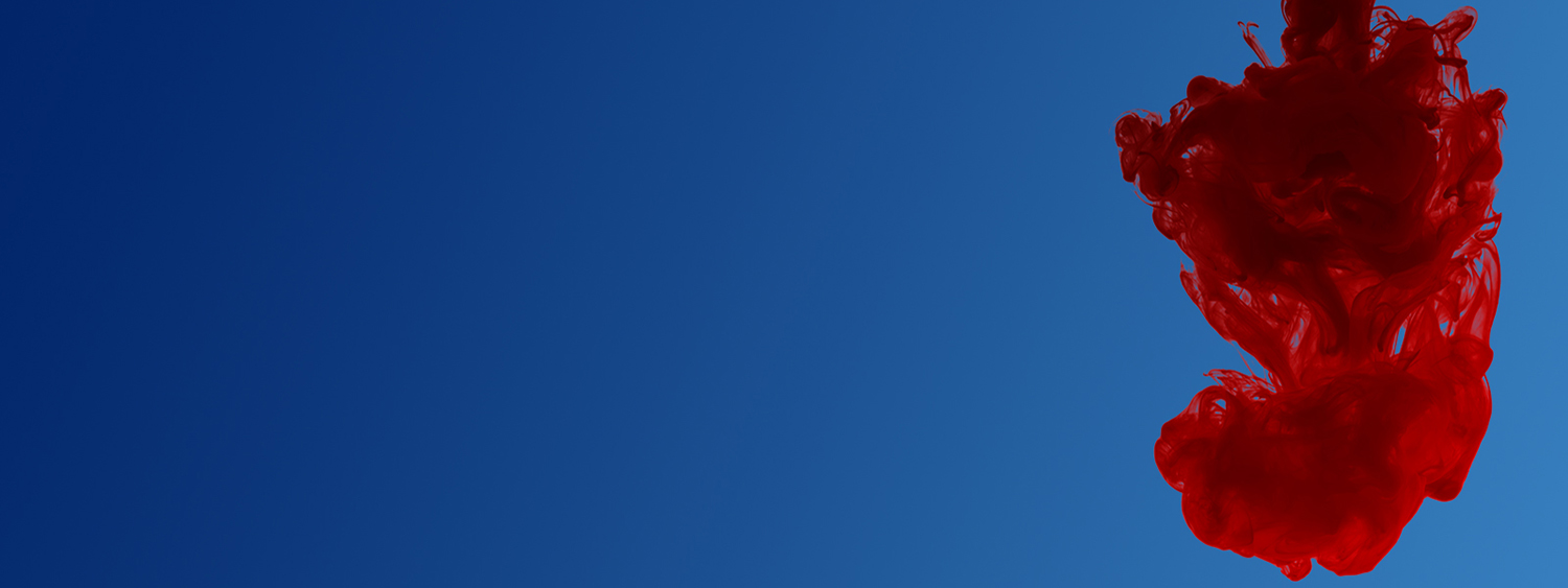 Qorus Innovation in Insurance Awards - qorusglobal.com