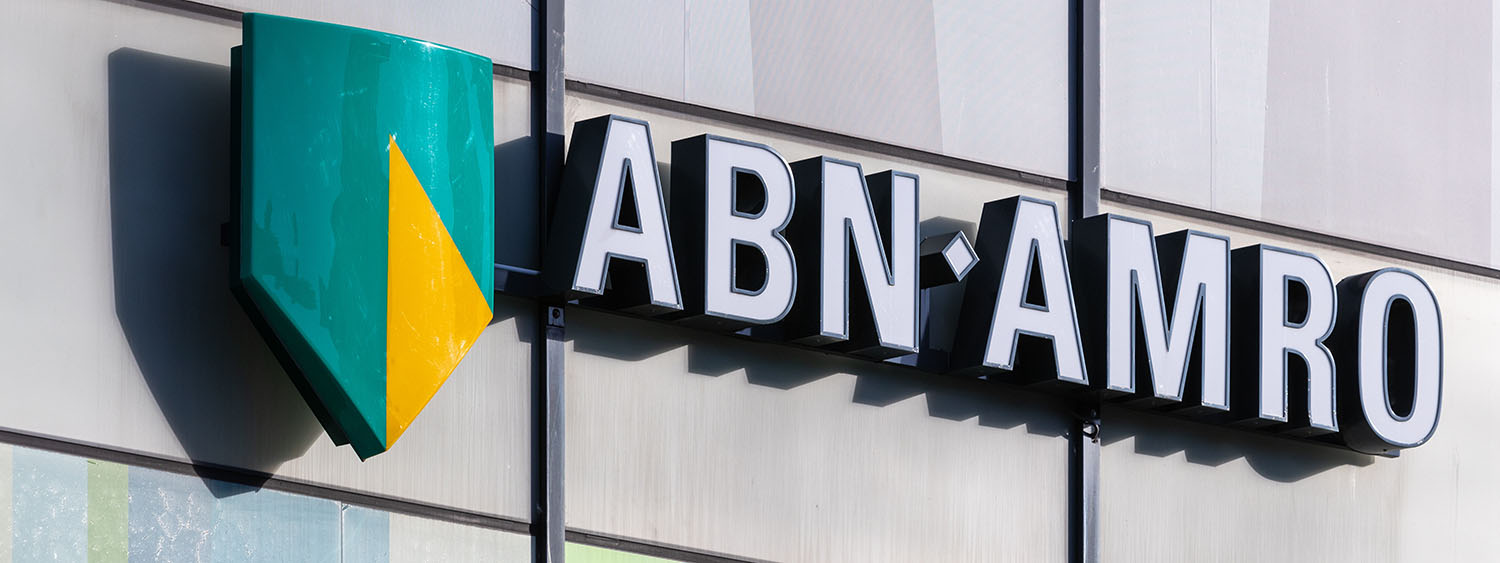 Unveiling efficient organizational models for CSR and sustainability ...