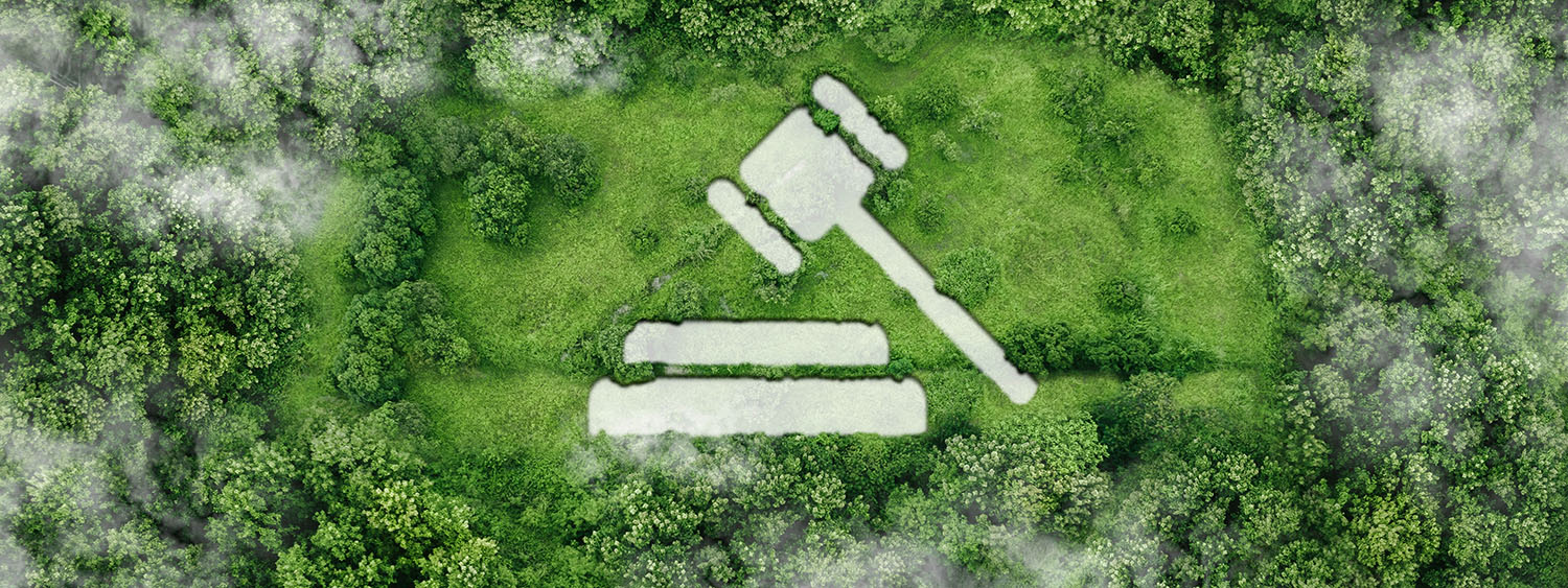 Sustainability regulations and standards landscape - qorusglobal.com