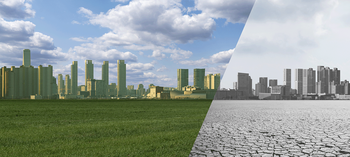 How to build a successful decarbonization strategy - qorusglobal.com