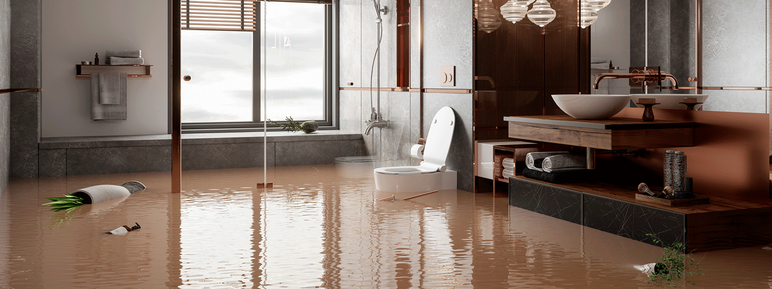 Insurity enables digital payments to transform claims payments process ...